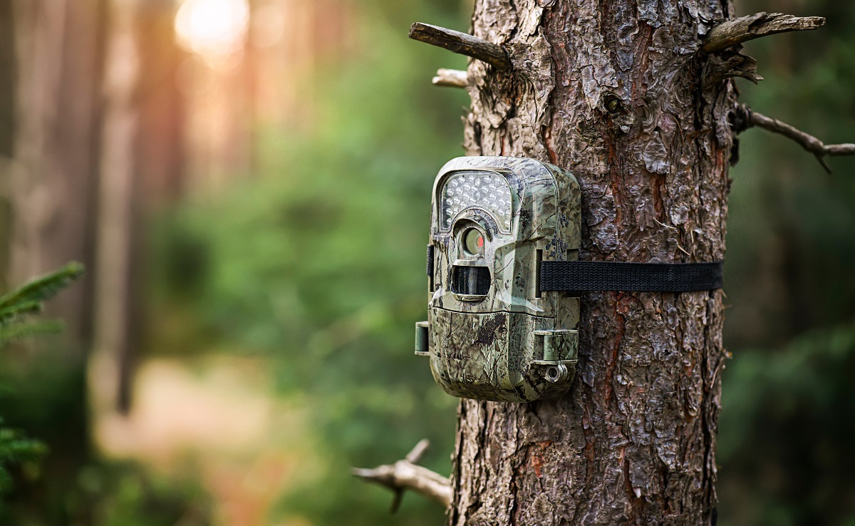 Case study | Connectivity solutions for wildlife camera manufacturers ...